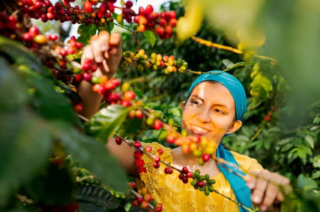 C'est quoi un café équitable